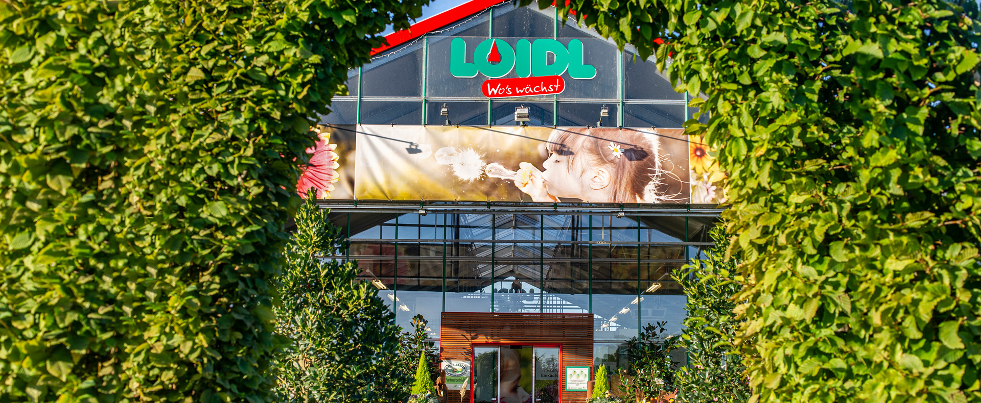 Loidl Baumschule - Loidl Baumschule