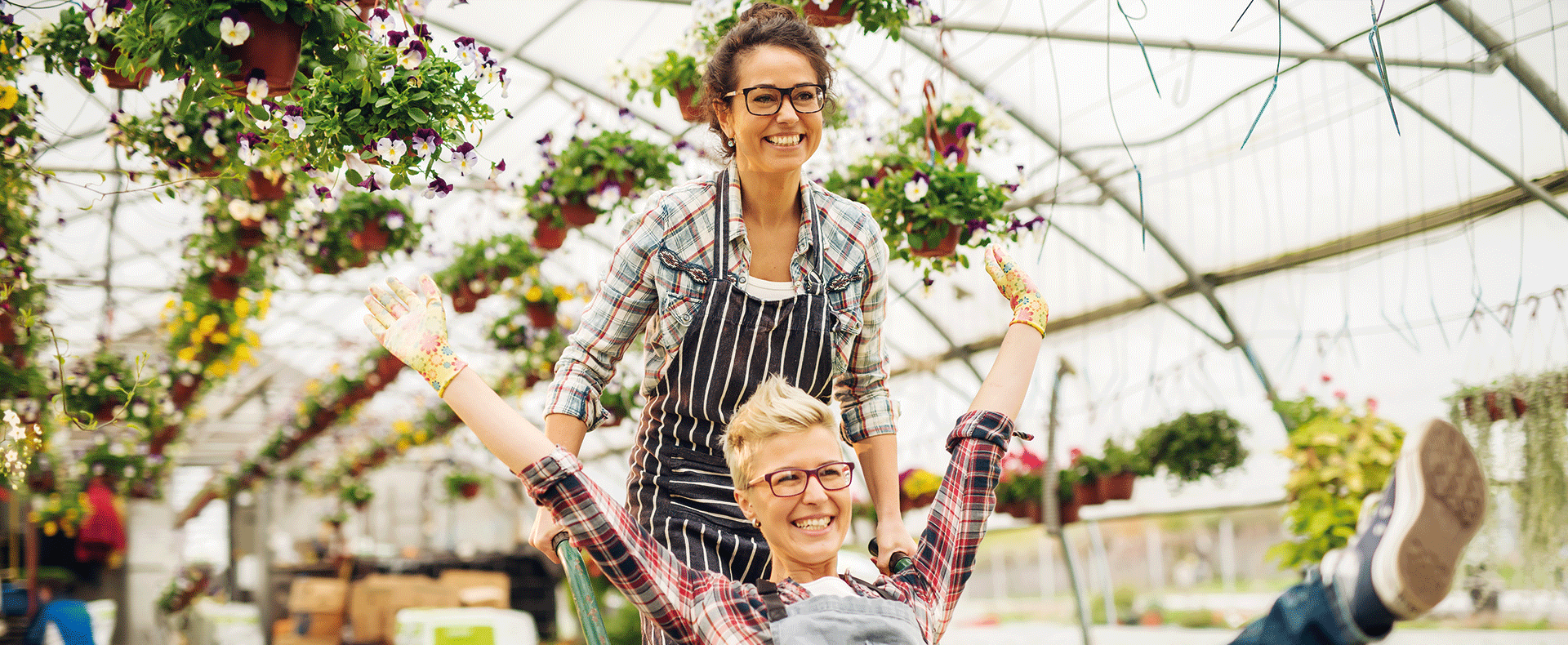 Loidl Baumschule - Loidl Baumschule