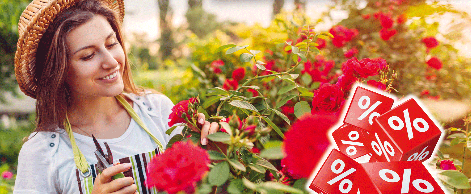 Loidl Baumschule - Loidl Baumschule